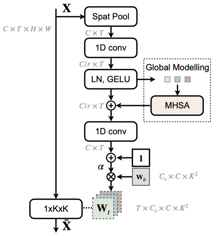 Temporally-Adaptive Models for Efficient Video Understanding | Huang Ziyuan 黄子渊